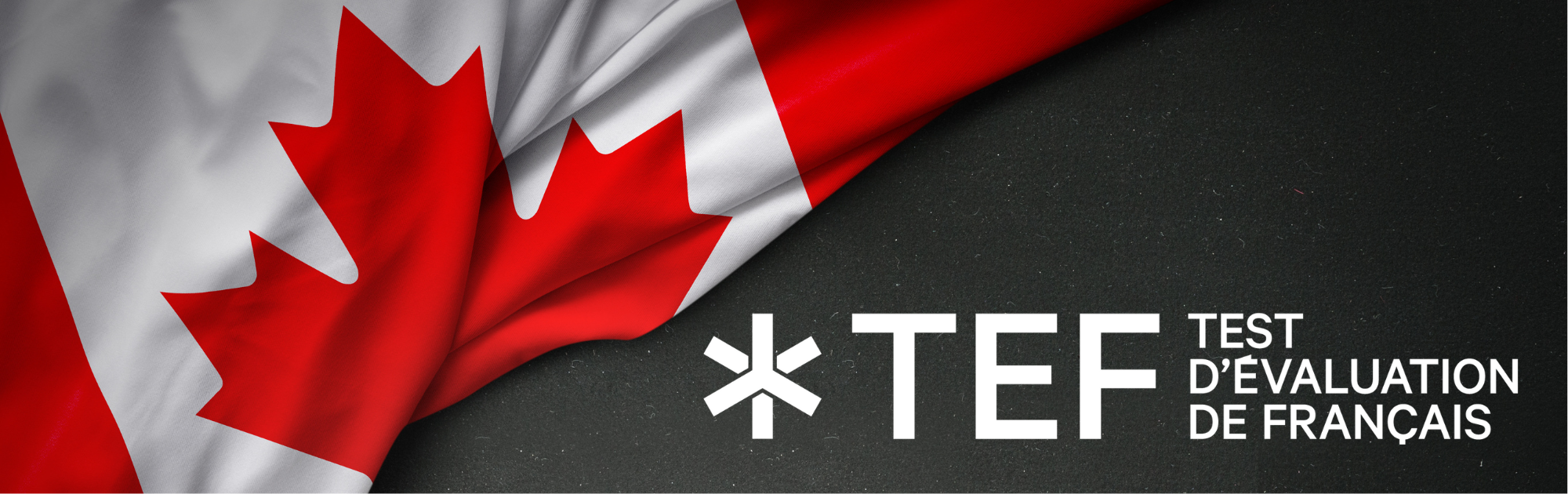 TEF EXAM - Canada Immigration - Alliance Francaise de Port Harcourt